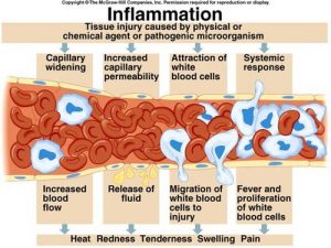 Tissue Healing Timeline - How Long Will it Take? | Lifecare
